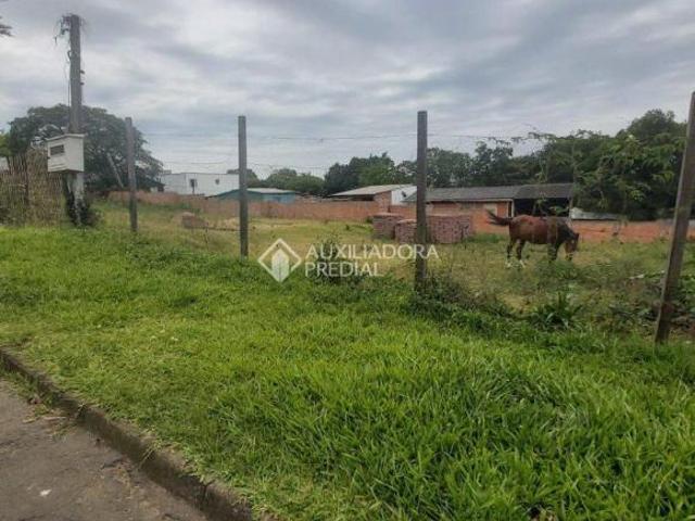 Terrenos Pré Vendas no Bairro Tristeza
