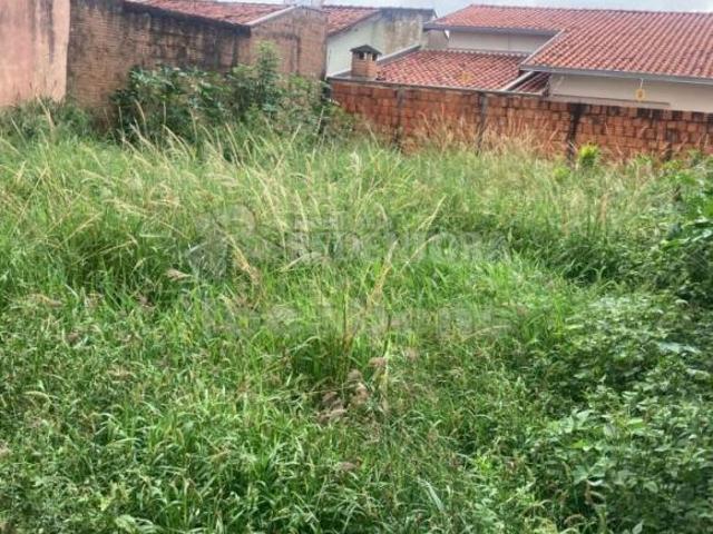 Terreo Venda