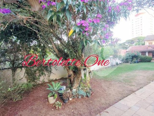 Térrea para aluguel e venda, Rua Fechada, 268m2, 4 suítes, quintal, espaço gourmet. Jardim Floresta
