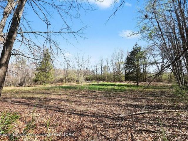 Territorial Rd, Stockbridge, MI 49285