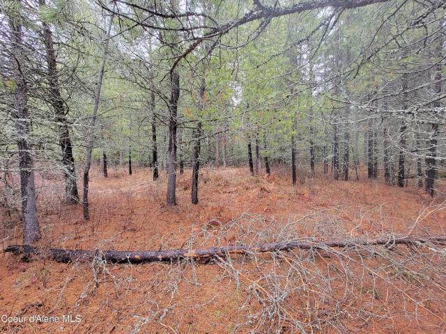 Terry Trl, Priest River, ID 83856 | MLS #26 2474