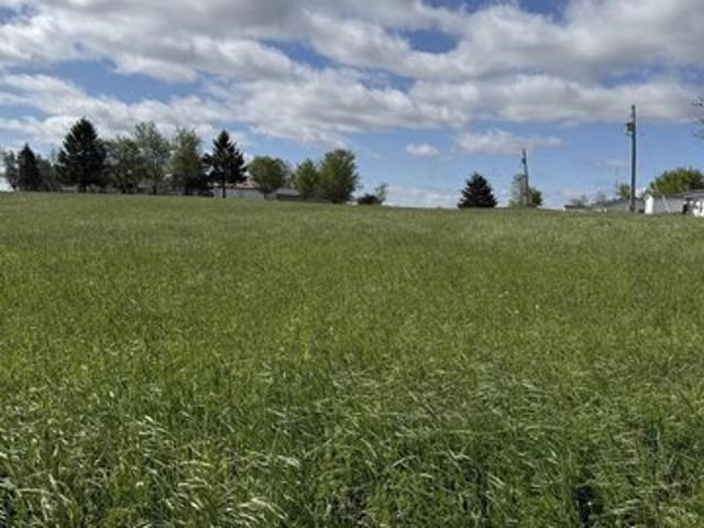 Terry Lake Tract Rd # C, Hamilton, IN 46742