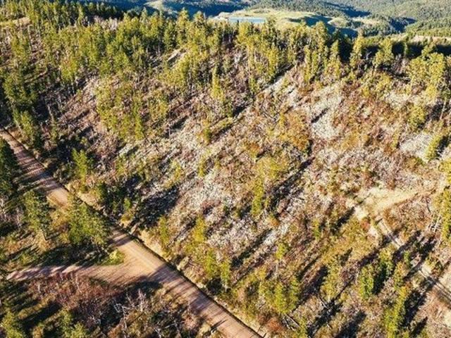 Terry Peak Summit Rd, Lead, SD 57754