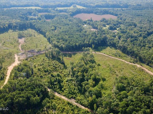Terry Road, Kosciusko, MS 39090
