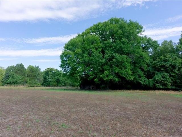 Tesh Rd, Germanton, NC 27019