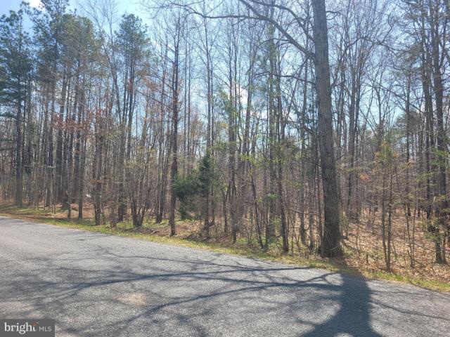 Texas School Rd, Wingina, VA 24599 | MLS #VABH2000 | Compass