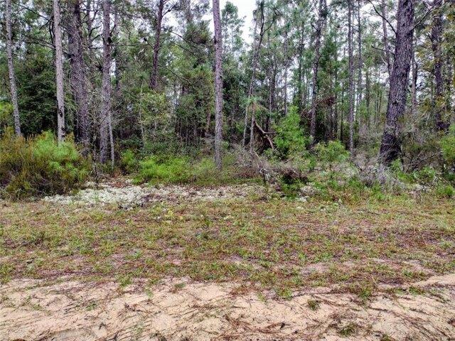 Th Way, Interlachen, Plot For Sale