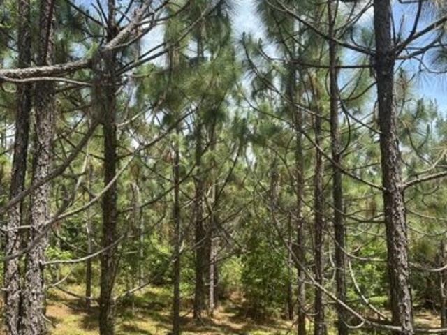 Th Ave N, Needham, Plot For Sale