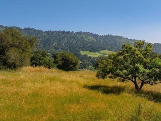 Thomas St, Oak View, CA 93022