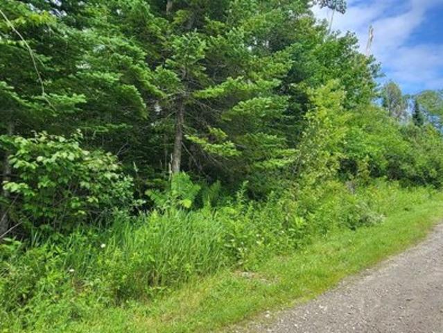 Thomas Rd W, Lunenburg, Plot For Sale