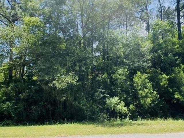 Thomas Rd, Theodore, AL 36582