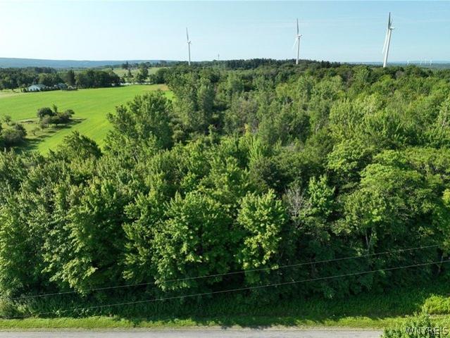 Thomas Rd, Varysburg, NY 14167