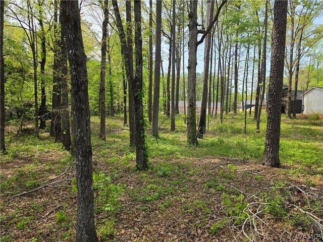 Thompson Blvd Lot 3, McCalla, AL 35111