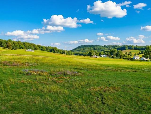 Thompson Creek Rd, Shelbyville, TN 37160