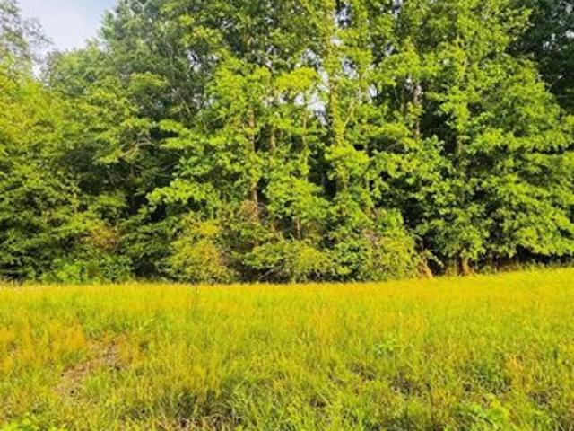 Thompson Rd, Fountain Inn, SC 29644