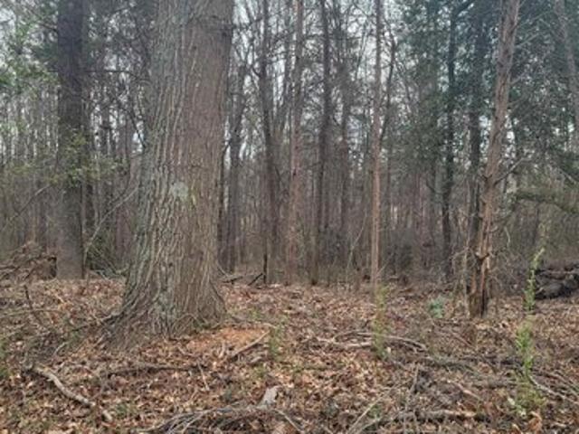 Thompson Rd, Greenville, SC 29607