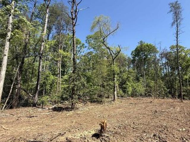 Thompson Rd, Greer, SC 29651