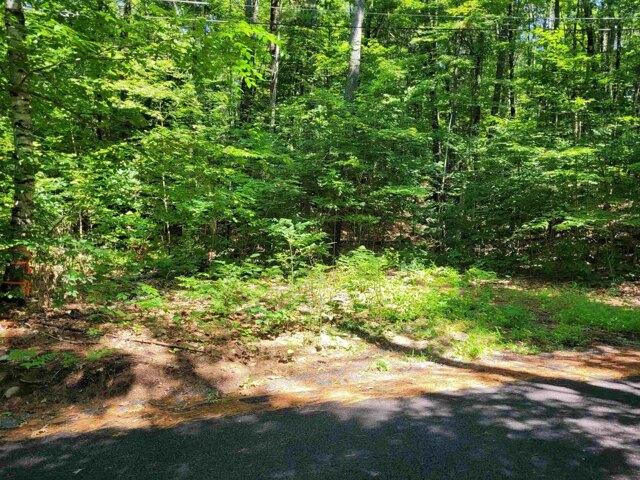 Thompson Rd, Keene, Plot For Sale