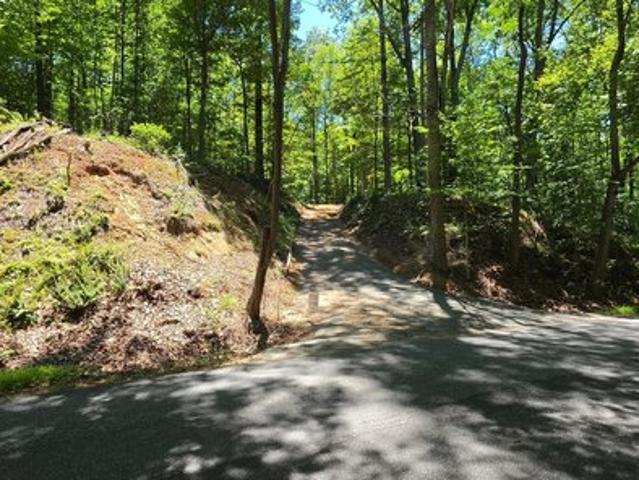 Thoroughfare Rd Lot 1, Culpeper, VA 22701