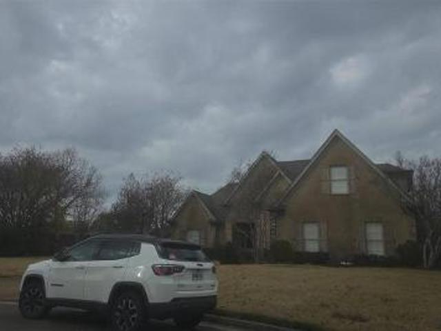 Thorn Tree Ln
