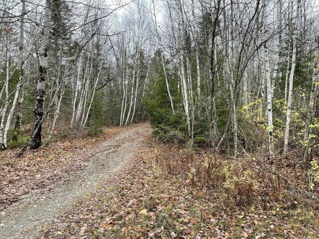 Thorndike ME 04986 103097495
