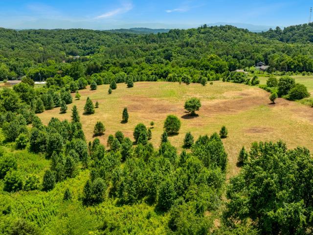 Thorngrove Pike, Kodak, TN 37764