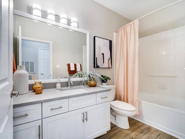 Thornhill Apartments 2 Bedroom Apartment for Rent at 7203 Plumleaf Rd, Raleigh, NC 27613