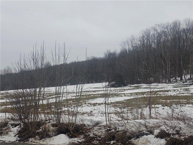 Thornton Rd, Cherry Creek, NY 14723