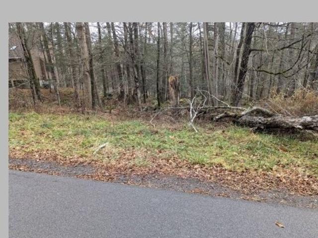 Thornwood Ter, Lake Ariel, Plot For Sale