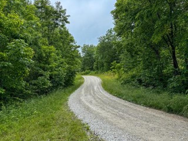 Thorp Ridge Rd, Vanceburg, KY 41179