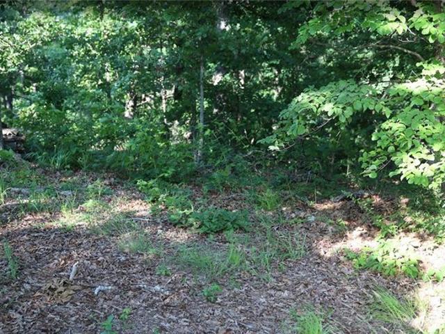Thaxted Dr Lot 12, Bella Vista, AR 72715