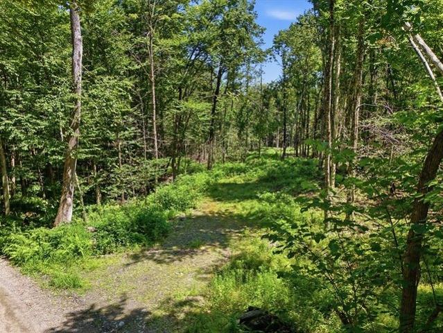 Thayer Hill Rd Lot 0, Worthington, MA 01098