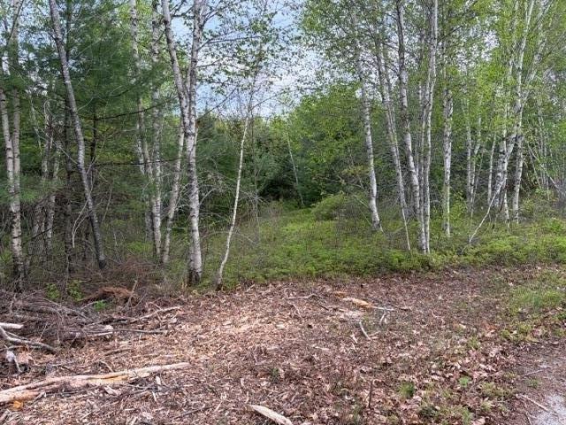 Thayer Rd Lot,waltham, Plot For Sale