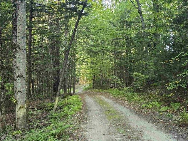 Thayer Rd Lots 1 & 2 and 3, Westminster, VT 05158