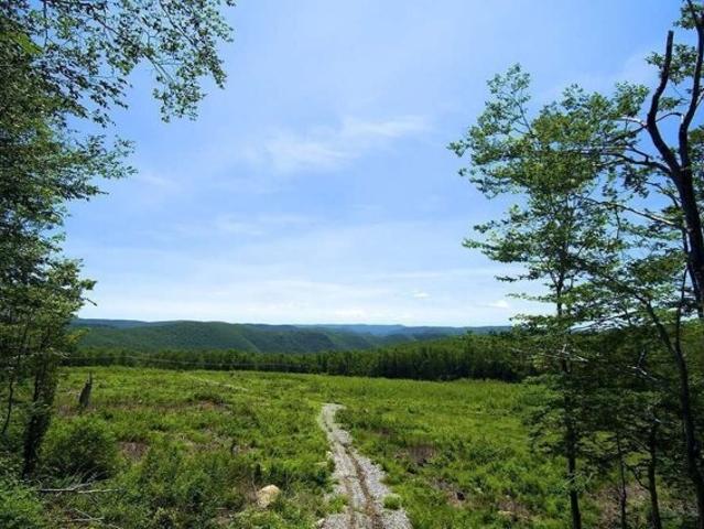 Thayer Rd, Monroe, Home For Sale