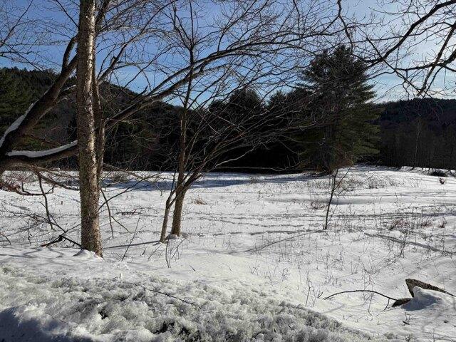 Thetford VT 05075 101857063