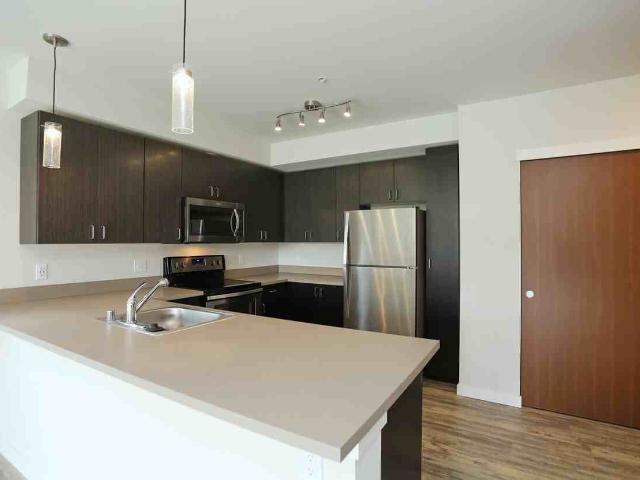 The 205 Apartments 1 Bedroom Apartment for Rent at 1795 Ne 205th St, Shoreline, WA 98155