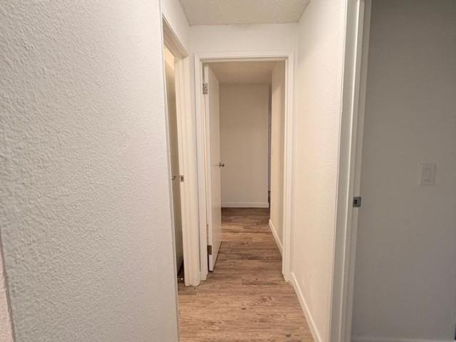 The Court at Northgate 1 Bedroom Apartment for Rent at 11300 3rd Ave Ne, Seattle, WA 98125 Pinehurst