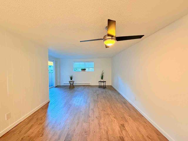 The Court at Northgate 1 Bedroom Apartment for Rent at 11300 3rd Ave Ne, Seattle, WA 98125 Pinehurst