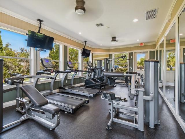 The Columns at Bear Creek 2 Bedroom Apartment for Rent at 11931 Cassandra St, New Port Richey, FL 34654