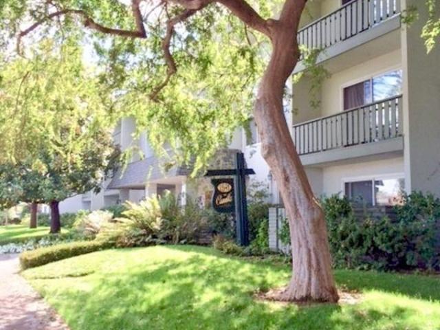 The Camille Apartments 1 Bedroom Apartment for Rent at 2645 California St, Mountain View, CA 94040