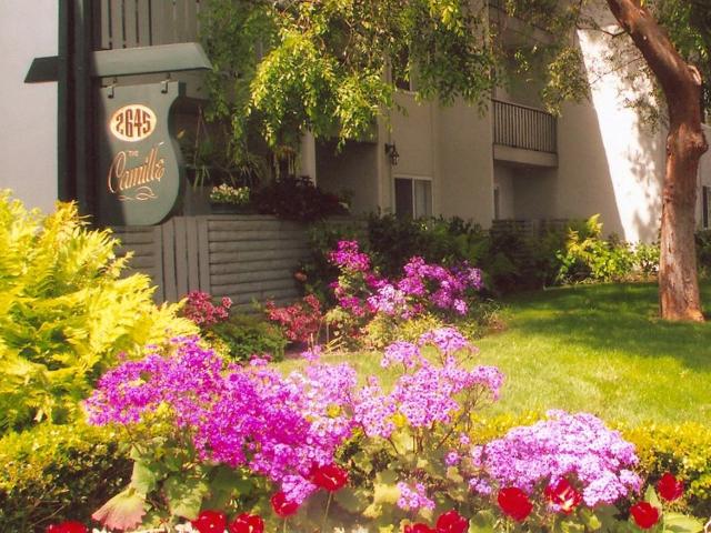 The Camille Apartments 1 Bedroom Apartment for Rent at 2645 California St, Mountain View, CA 94040