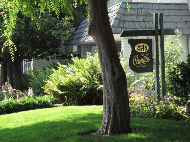 The Camille Apartments 1 Bedroom Apartment for Rent at 2645 California St, Mountain View, CA 94040