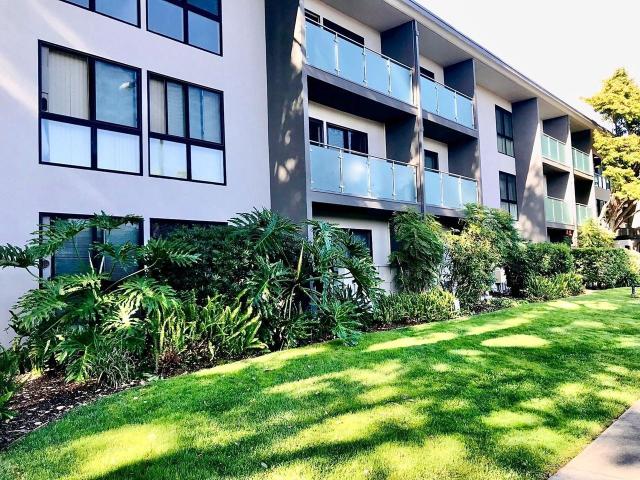 The Camille North Apartments Studio Apartment for Rent at 2685 California St, Mountain View, CA 94040