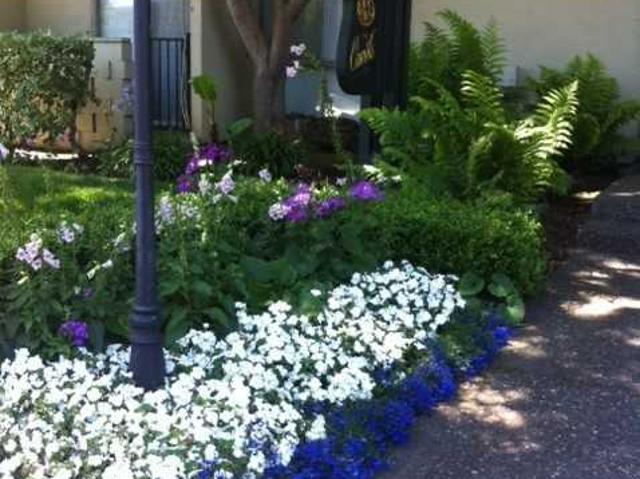 The Camille North Apartments 1 Bedroom Apartment for Rent at 2685 California St, Mountain View, CA 94040