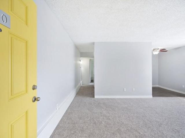 The Canopy 1 Bedroom Apartment for Rent at 1257 Fulton Ave, Sacramento, CA 95825