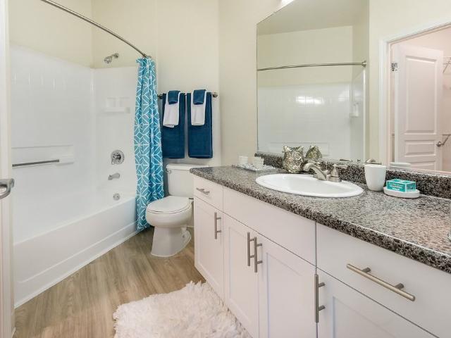 The Carlyle 1 Bedroom Apartment for Rent at 2909 Nieman Blvd, San Jose, CA 95148 Everydale Neimen