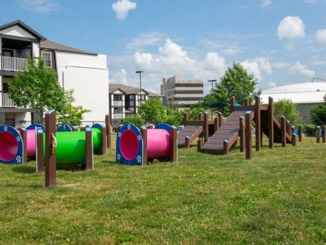 The Champion at Bluegrass Apartments 1 Bedroom Apartment for Rent at 300 Quinton Ct, Lexington, KY 40509