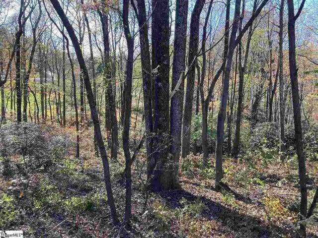 The Cliffs Pkwy, Landrum, Plot For Sale