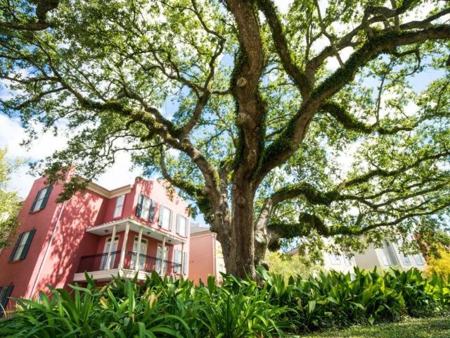 The Crescent at River Ranch 1 Bedroom Apartment for Rent at 1042 Camellia Blvd, Lafayette, LA 70508